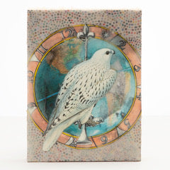 Falcon – SURFACE gallery