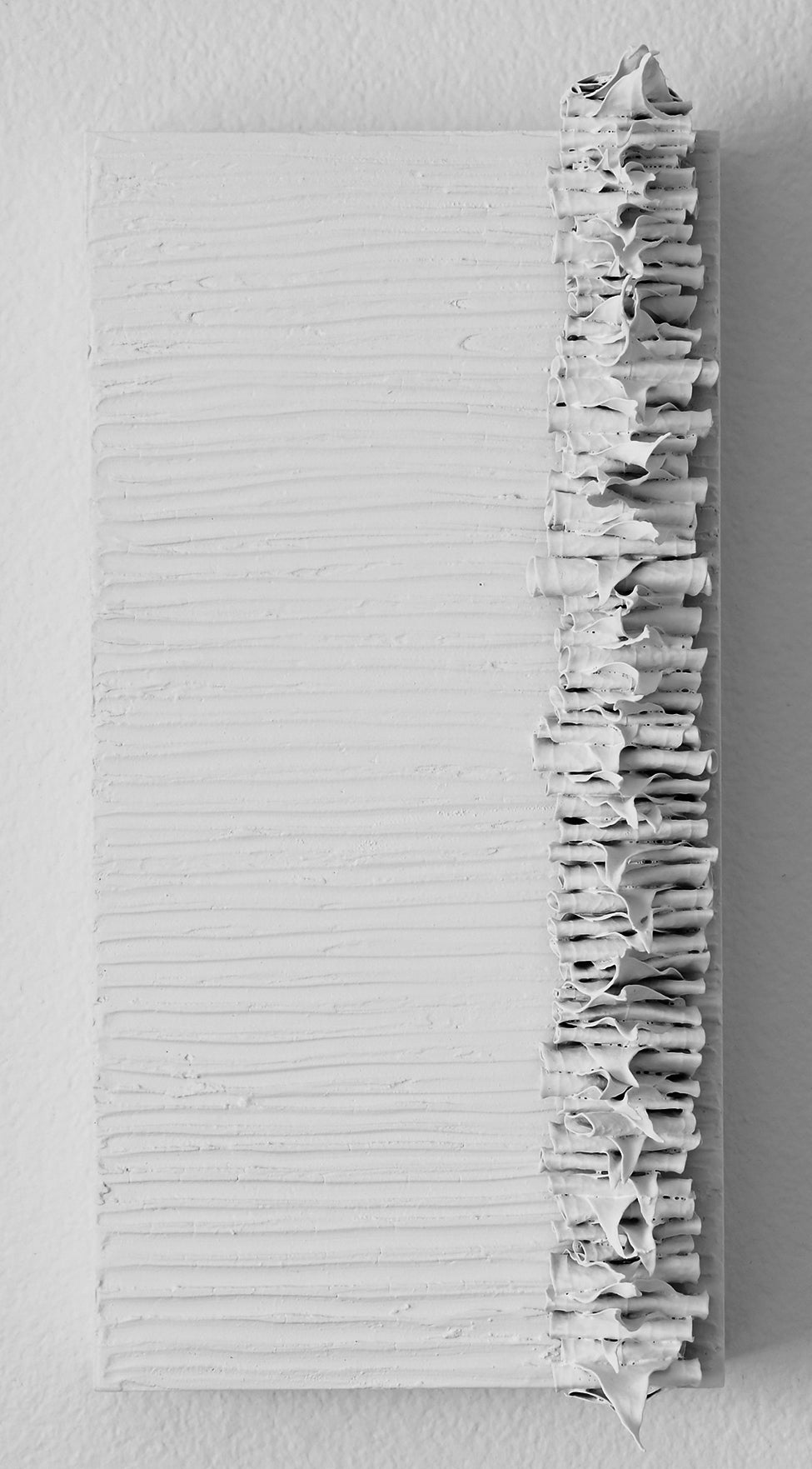 Ode: Growth – SURFACE gallery