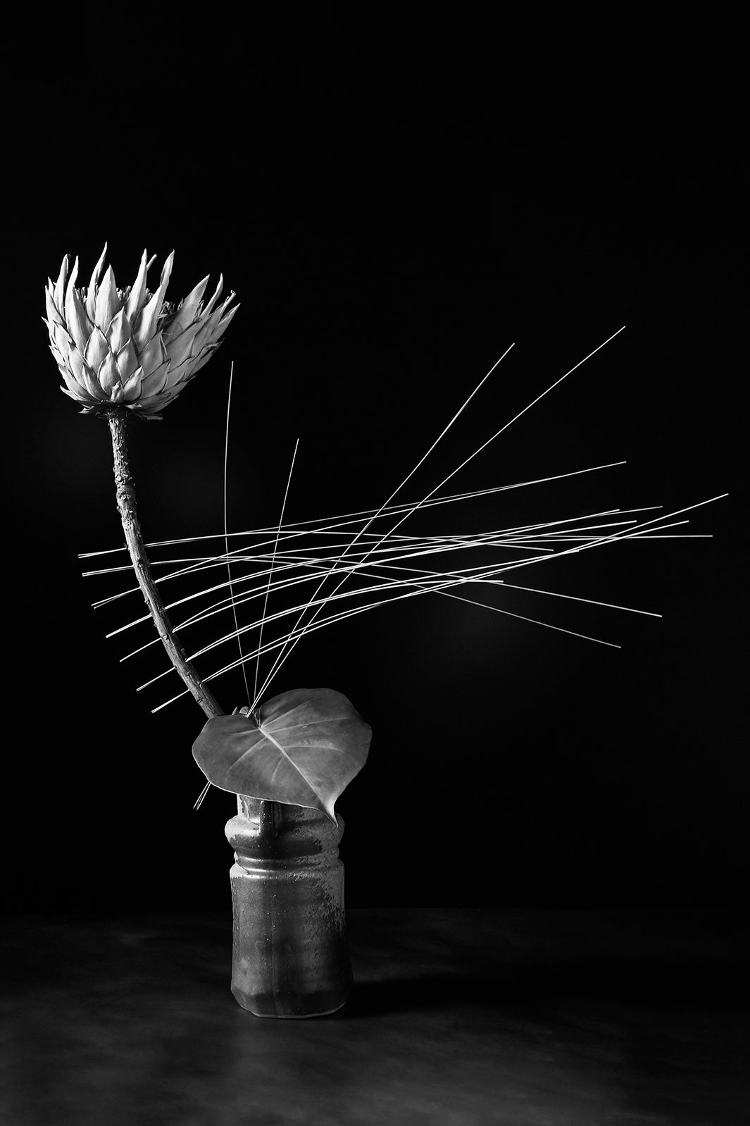 Ode: Transformation – SURFACE gallery